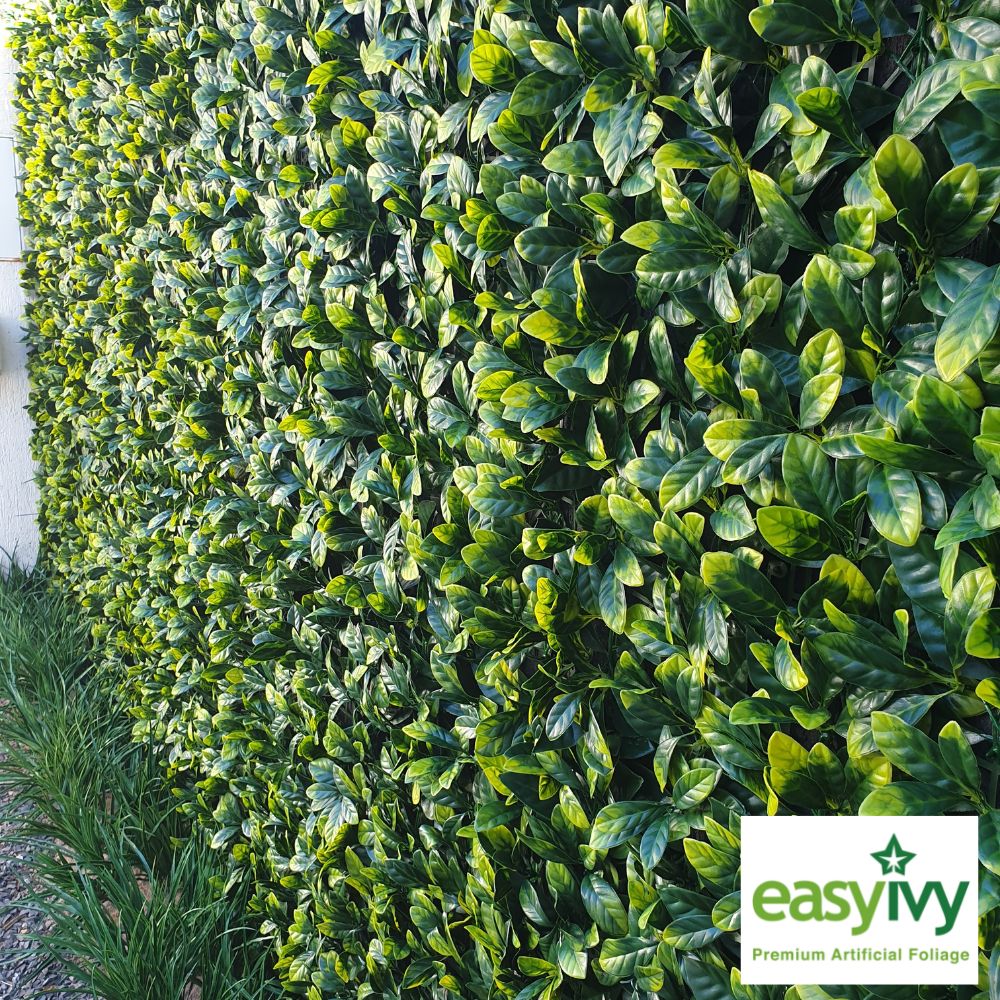 EasyIvy Lauro Bont (1m x 1m) - Artificial Foliage Panels